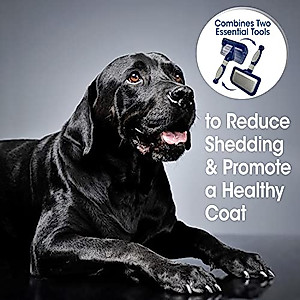 Four Paws Magic Coat Professional Series Grooming Brushes for Dogs & Cats l Trimmers, Nail Clippers, & Brushes Dog & Cat