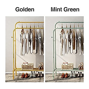 JOISCOPE Double Rods Portable Garment Rack for Hanging clothes, 43.5 * 60.6 Inch Metal Clothing Rack with Bottom Shelves and 4 Hooks,Freestanding Clothes Rack for Bedroom,Space Saving, Gold
