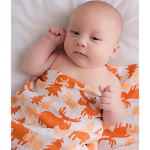 CuddleBug Muslin Baby Swaddle Blankets for Boys and Girls Size Large 4 x 4 Feet – Muslin Cotton 4 Pack (Colorful Critters)