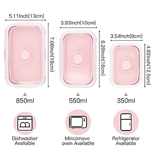 Duoyou Collapsible Silicone Lunch Bento Box, Portable Food Storage Container Outdoor Picnic Box Space Saving, Microwave, Dishwasher and Freezer Safe, 3 Pcs Set (Pink)