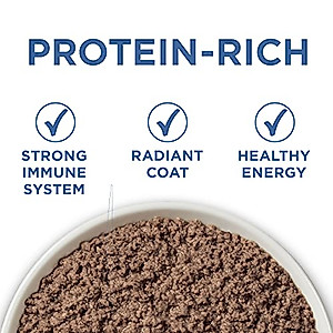 Purina ONE Grain Free, Natural Senior Pate Wet Cat Food, Vibrant Maturity 7+ Chicken & Ocean Whitefish Recipe - (Pack of 12) 3 oz. Pull-Top Cans