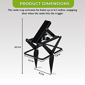 2 PCs Mole Traps Scissor, Reusable Black Galvanized Steel Scissor Trap for Lawns Outdoor Use, Ground Mole Trap Easy to Set Quick Capture Gopher