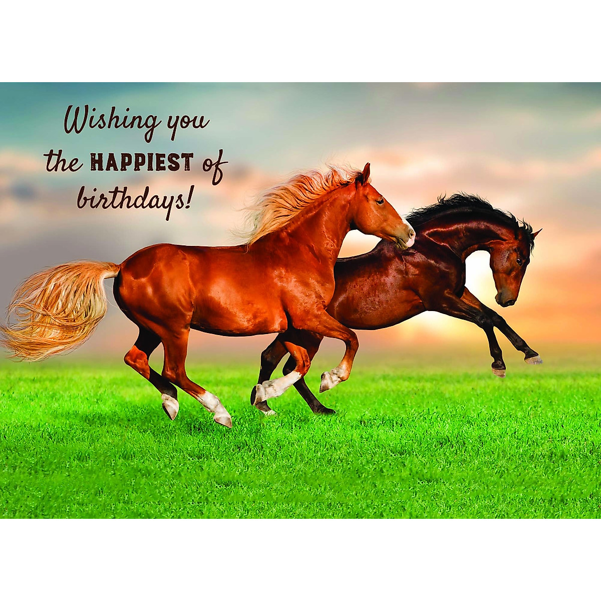 CPG Card-Boxed-Shared Blessings-Birthday Wild Horses (Box of 12)