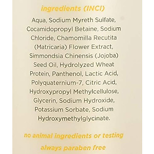 Earth Science Fragrance Free Shampoo with mild coconut-based cleansers for sensitive scalp & hair — 12 oz. (Pack of 2)