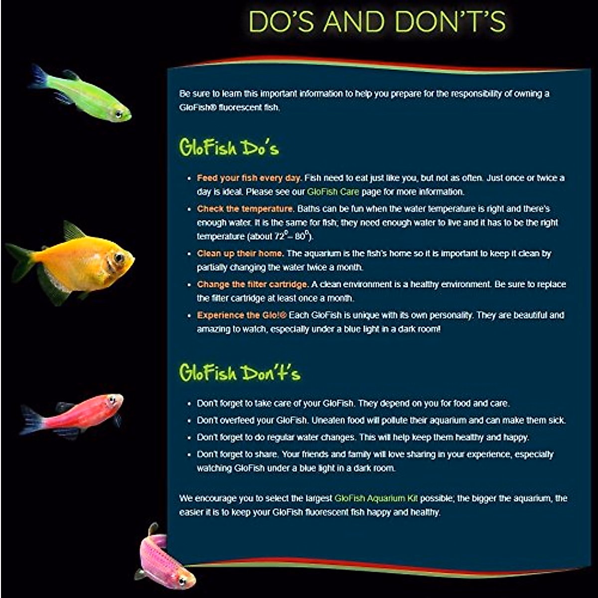 GloFish Volcano Ornament for Aquariums, 2.38 x 3.31 x 3.44 inches, Mulit, Medium, Model: 75077301