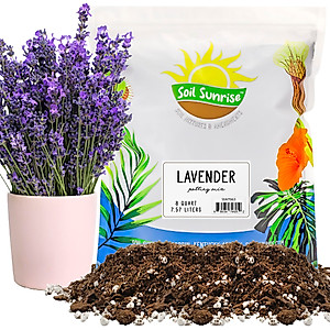 Lavender Potting Soil Mix (8 Quarts), Indoor/Outdoor Container Gardening Blend for Lavender Herb Plants