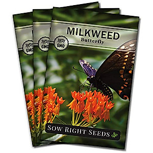 Sow Right Seeds Butterfly Milkweed Seeds; Attract Monarch and Other Butterflies to Your Garden; Non-GMO Heirloom Seeds; Full Instructions for Planting, Wonderful Gardening Gift (3)