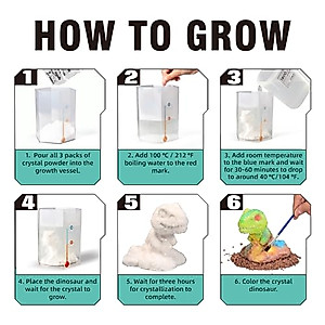 Dinosaur Crystal Growing Kit - STEM Science Experiment for Kids Ages 8-12, Grow Your Own Crystal Terrarium, DIY Gift for Christmas or Birthdays