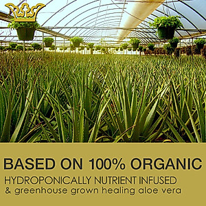 Gunilla Of Sweden LEROSETT Moisture Matte Oil-Free Daily Moisturizer for Acne Prone Skin, Non-Greasy, Lightweight, Non-Comedogenic with Organic Aloe Vera + 5-Herbal Extracts, Vit-C, E 1 oz