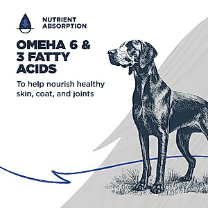 Blackwood Grain Free Dry Dog Food, Chicken & Field Pea Recipe, 10 Pound Bag for All Life Stages, Slow Cooked with Vitamins & Minerals for a Balanced Diet