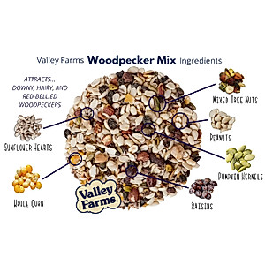 Valley Farms Woodpecker Mix Wild Bird Food, No Mess Bird Seed for Outdoor Feeders, W/Peanuts and Sunflower Hearts for Birds, Woodpecker Food, Attract All Bird Species (4 LBS)