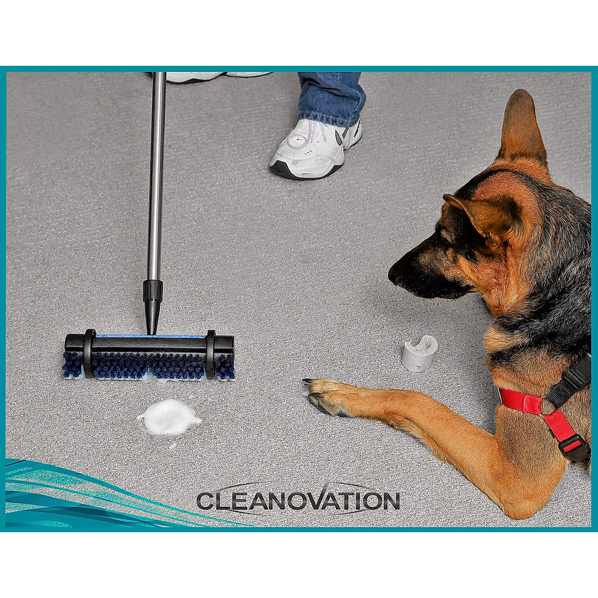 Cleanovation Rug Renovator Floor Scrub Brush with Long Handle, Scrape Brush Stiff Bristle Scrubber, Cleaning for carpet pet stains and odors, 32 Fl oz Carpet Shampoo