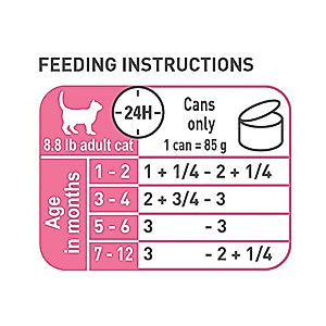 Royal Canin Feline Health Nutrition Thin Slices in Gravy Variety Pack Wet Kitten Food, 3 oz., Count of 12, 12 CT