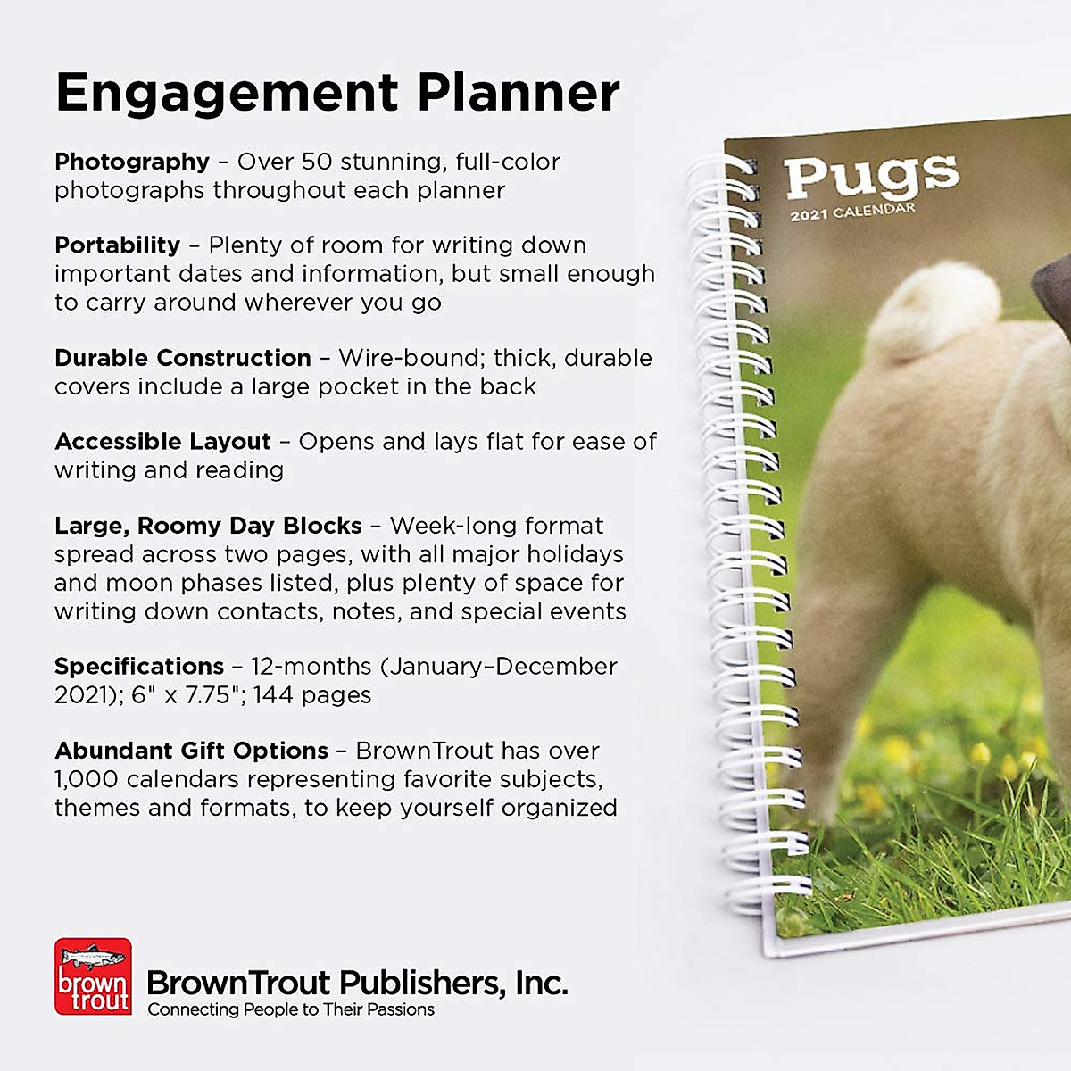 Dachshunds 2021 Calendar