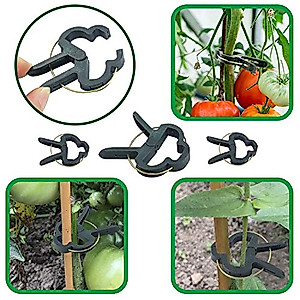 CKE 3 Pack Tomato Cage – Plant Stakes and Support with Clips - Upto 72 inches Tall with 40 Pcs Clips + Garden Twist Ties