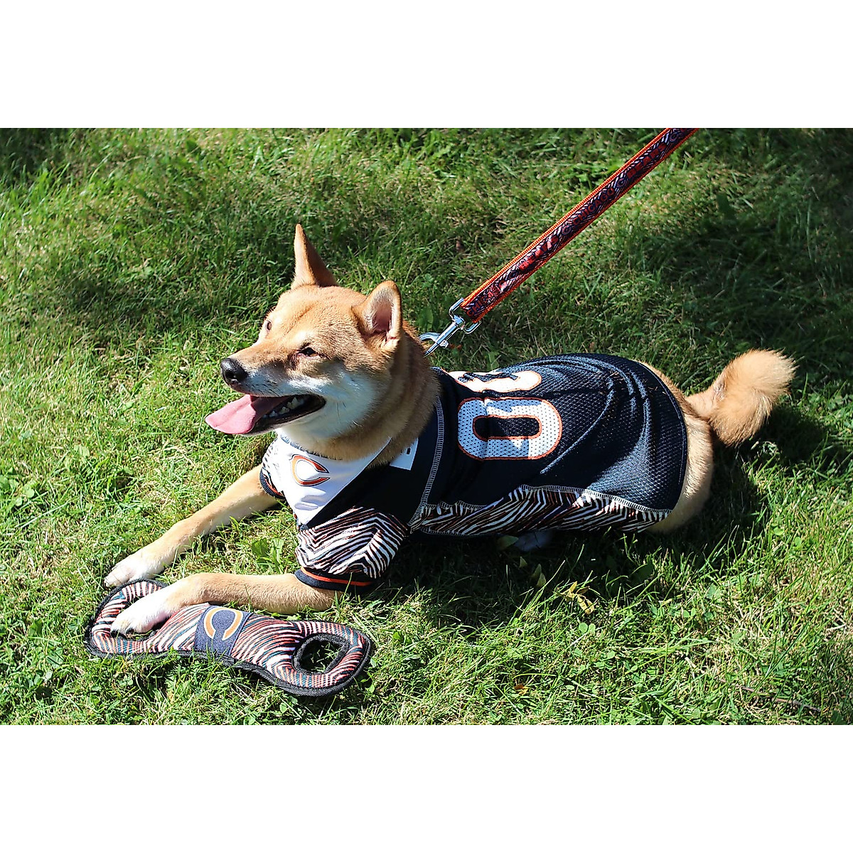 Zubaz NFL Team Logos and Colors Tug Dental Toy with Squeaker for Dogs & Cats, Minnesota Vikings