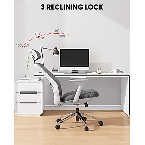 Dripex Mesh Office Chair for Home, Ergonomic Desk Chair with Arms/Lumbar Support/Mesh Back/Adjustable Headrest & Height/Wheels, Computer Chairs Tilt Reclining Swivel Rolling Chair, Grey