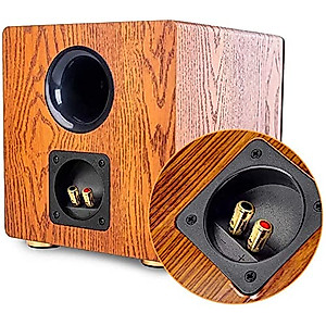 YTYKINOY 2 Pcs 3.1” Double Binding Round Gold Plate Push Spring Loaded Jacks Speaker Box Terminal Cup