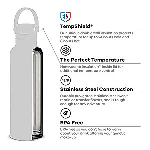 Hydro Flask Water Bottle - Standard Mouth Flex Lid - 21 oz, Spearmint