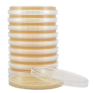 Tryptic Soy Agar (TSA), USP, a General Growth Medium for Microorganisms, 15x100mm Plate, Order by The Box of 100, by Hardy Diagnostics