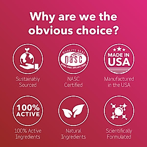 InClover, Dog Heart Health Supplement BioVibrant, Helps Support Dog Heart Health, Dog Supplement Treat Powder with Taurine Helps Pet Heart Health and Dog Weight Management, Dog Immune Support