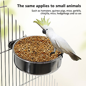 DVHEY 2 Pcs Small Bird Feeding Dish Cups,Parrot Food Bowl Cage with Clamp Holder Stainless Steel,Birdcage Coop Water Feeder for Cockatiel Parakeet Macaw Finches Lovebirds Small Animals (2 Pack, Small)