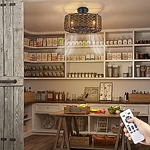 Farmhouse Caged Ceiling Fan with Lights Remote Control, Low Profile Bedroom Ceiling Fans, Industrial 17 Inch Ceiling Fans for Kitchen, Bedroom, Dining Room