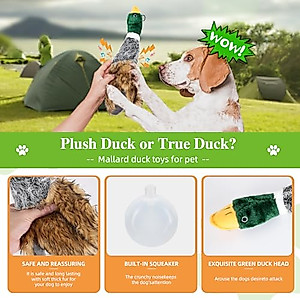 wangstar Squeaky Dog Toy for Puppy Dogs Toys to Keep Them Busy Mallard Duck Stuffed Dog Toys for Medium Small Dogs, 16.5" Wild Duck