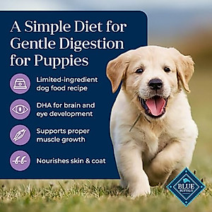 Blue Buffalo Basics Puppy Dry Dog Food for Skin & Stomach Care, Limited Ingredient Diet, Made in the USA with Natural Ingredients, Turkey & Potato Recipe, 4-lb. Bag