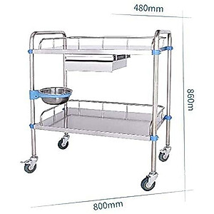 JYDQM Stainless Steel Trolley-Double Cart Trolley Trolley Care Dressing Medical Cart Clinic Beauty Trolley (Size : 80)