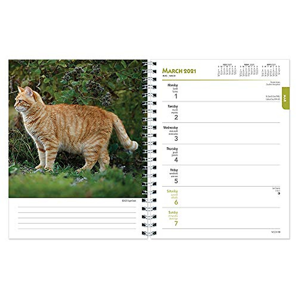 Cat Lovers 2021 Calendar