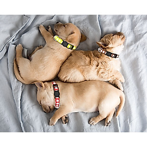 16 Pack Puppy Collars,Puppy Collars for Litter,Paw Print Safety Puppy Collars for Small Puppies,Nylon Breakaway Puppy ID Collars Whelping Collars Litter Collars Glow in The Dark(S)