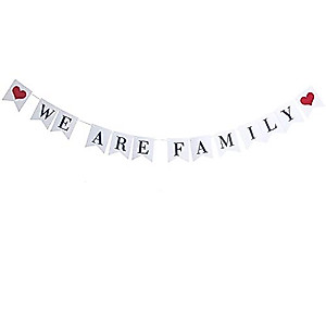 Family Bunting Banner Family Photo Prop Family Reunion Party Banner for Family Party Home Decoration - WE are Family