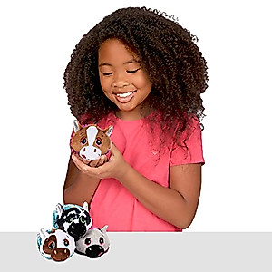 Cutetitos Ponyitos - Surprise Stuffed Animals - Collectible Plush - Packaging may vary