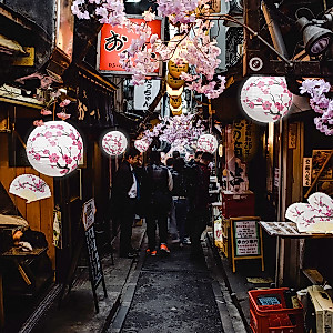 LYART 12PCS Delicate Cherry Blossom Design Silk Folding Hand Fan Wedding Favors Gifts,Fan Girls, Ladies, Church Wedding Gift, Party Favors, DIY Decoration Music Festival, Party, Parade