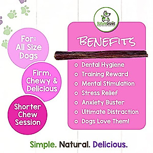 Nature Gnaws Beef Jerky Sticks for Dogs - Premium Natural Beef Gullet Bones - Simple Single Ingredient Tasty Dog Chew Treats - Rawhide Free - 5-6 Inch