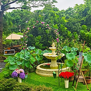 SCENDOR Garden Arch Trellis 8.4 Ft High x 4.6 Ft Wide, Dark Green Iron Arbor, Courtyard Arbor Trellis for Various Climbing Plants Rose, Outdoor Archway Wedding Ceremony Party