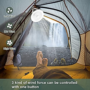 Depuley Portable Table Fan and LED Light, 8" Battery Operated Personal Desk Fan for Hanging or Tabletop Use, 4000mAH Outdoor Small Rechargeable Quiet Camping USB Fans with 3 Speeds for Tent, Office