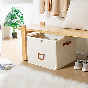 Delamu Shoe Organizer for Closet, Fabric Shoe Storage Boxes with Clear Cover, Adjustable Dividers for Shoe Storage, Foldable Space-saving Storage Container Bins, Fits 8-16 Pairs, Beige, 1-Pack