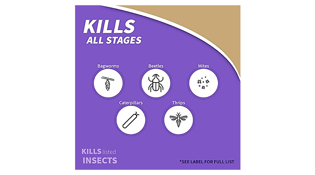 Bonide Captain Jack's Dead Bug Brew Insecticide - 32 oz