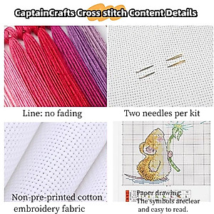 CaptainCrafts Cross Stitch Kits, New Stamped and Counted Fabric Cross Stitching DIY Art DMC Needlecrafts Embroidery Kit for Adults Beginner (White, Basket of Strawberries)