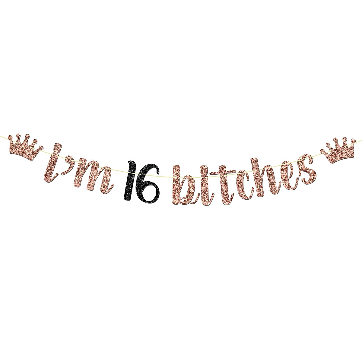 Rose Gold Glitter I’m 16 Bitches Banner - Happy 16th Birthday Banner - Girl's 16th Birthday Party Decorations - Sixteen Years Old Birthday Banner