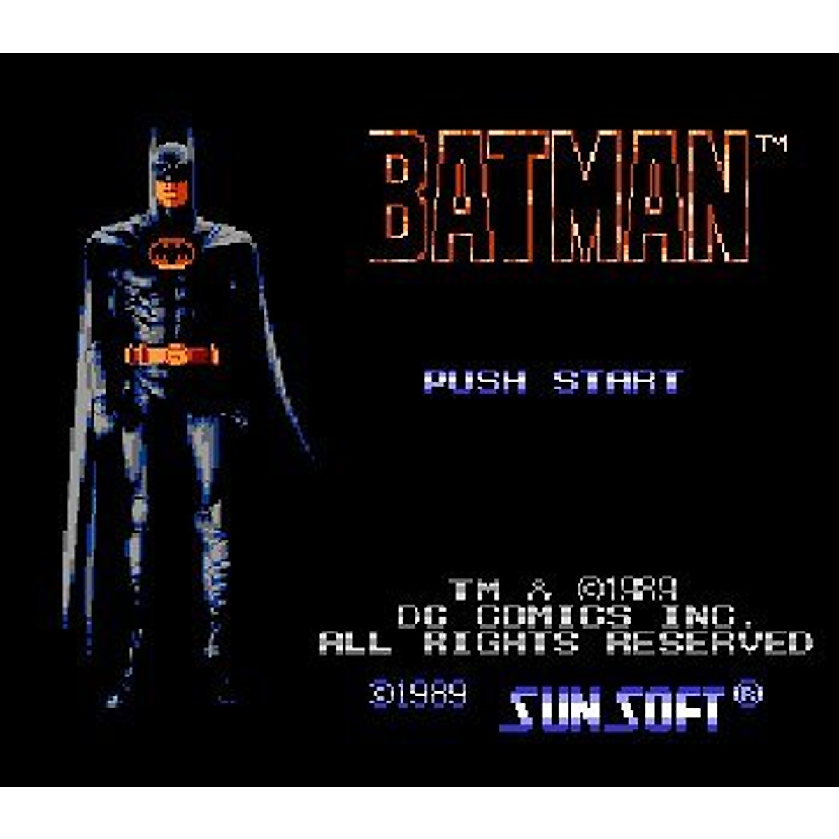 Batman: The Video Game