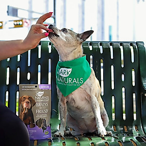 Ark Naturals Gray Muzzle Brain's Best Friend Vet Recommended Soft Chews for Cognitive Issues Associated with Aging, 90 Count Bag