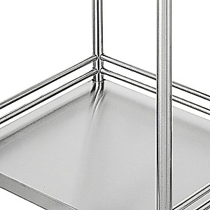 YIYIBYUS Stainless Steel Cart 2 Layer Medical Dental Laboratory Rolling Cart Mobile Equipment Serving Carts with Silent Wheel Trolley Cart