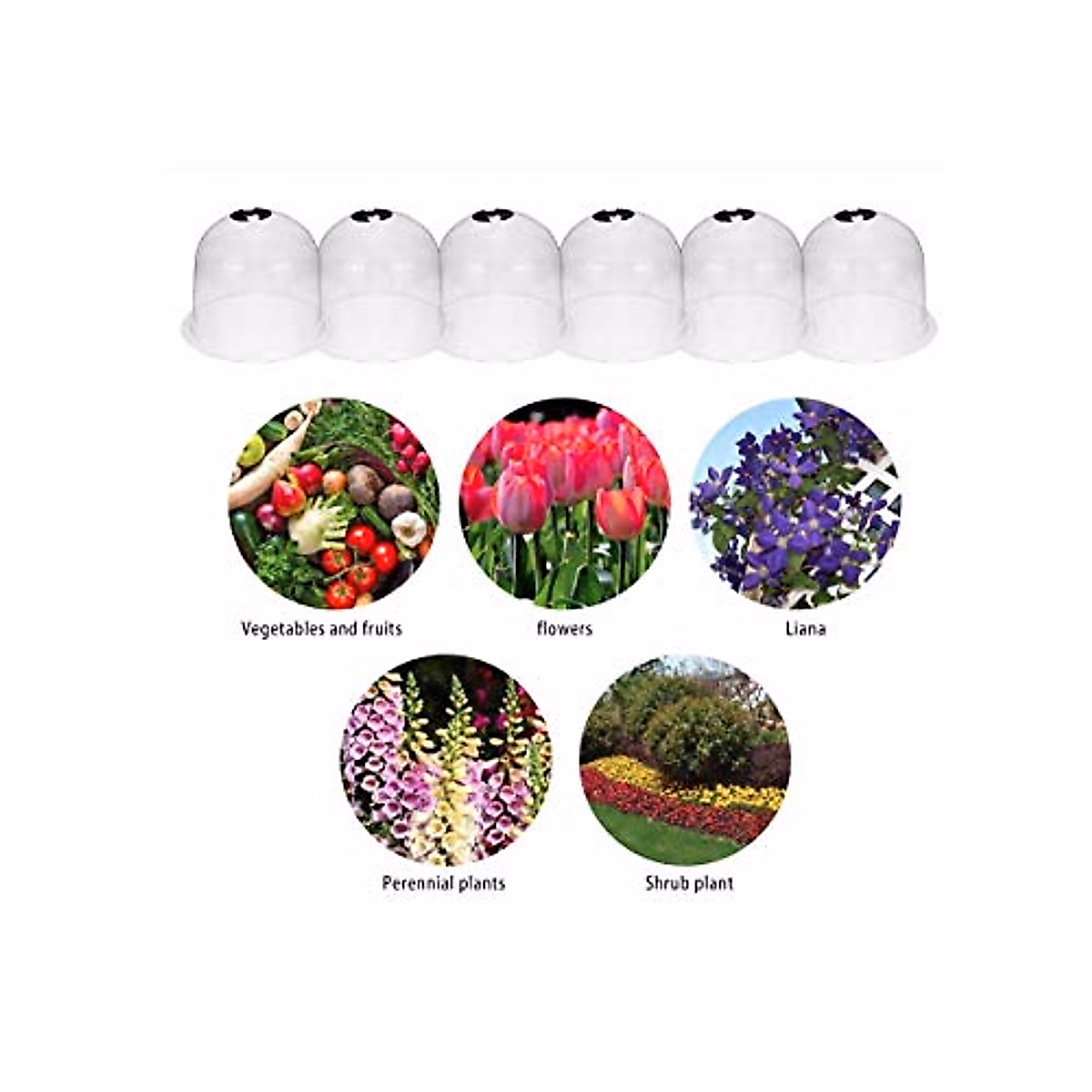 KiaoTime Pack of 10 Reuseable 10" Plastic Greenhouse Garden Bell Cover Germination Cover Frost Guard Freeze Protection Dome with Bonus 30 Metal Stakes+10 Tags