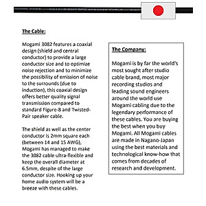 WORLDS BEST CABLES 10 Foot - Quad Balanced Connecting Cable Custom Made Using Mogami 2893 Wire and Neutrik-Rean NYS231BG 3.5mm Gold Mini TRS Plugs