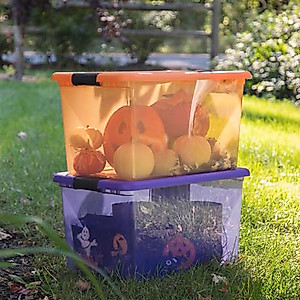Sterilite 64 Qt Latching Storage Box, Stackable Bin with Latch Lid, Plastic Container to Organize Halloween Decor, Purple Tint with Purple Lid, 6-Pack