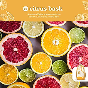 ZYFE Vitamin Hand Soap Refill & Rechargeable Automatic Soap Dispenser | Liquid Hand Soap | Natural Plant Derived Moisturizing Handsoap