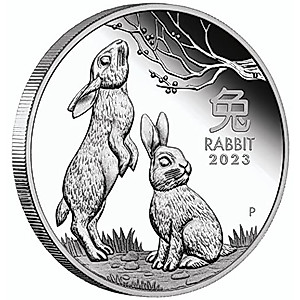 2023 P Year of The Rabbit half ounce silver coin proof (1/2) oz Seller Mint State